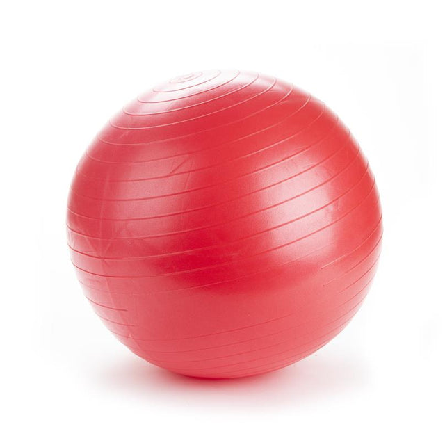 Therapy Ball | Sensory Exercise Ball for Kids | Everyday OT – Everyday OT